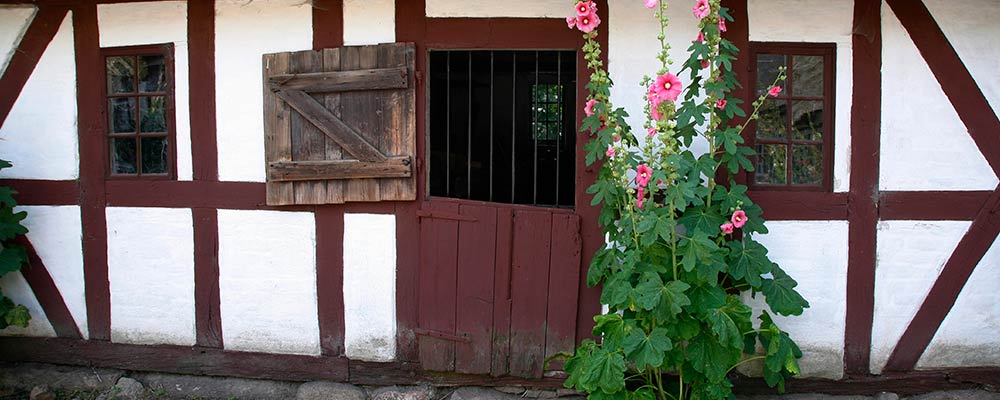 Den Fynske Landsby - Oplev livet i en landsby i 1800-tallet